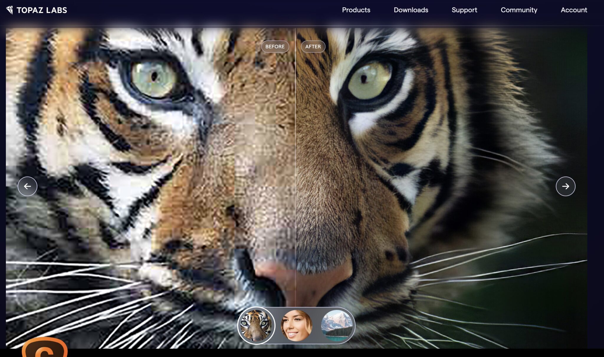 【完全ガイド】Topaz Labsとは？使い方、レビュー、セール情報など総まとめ【Photo,Video】 | IzukaEffects